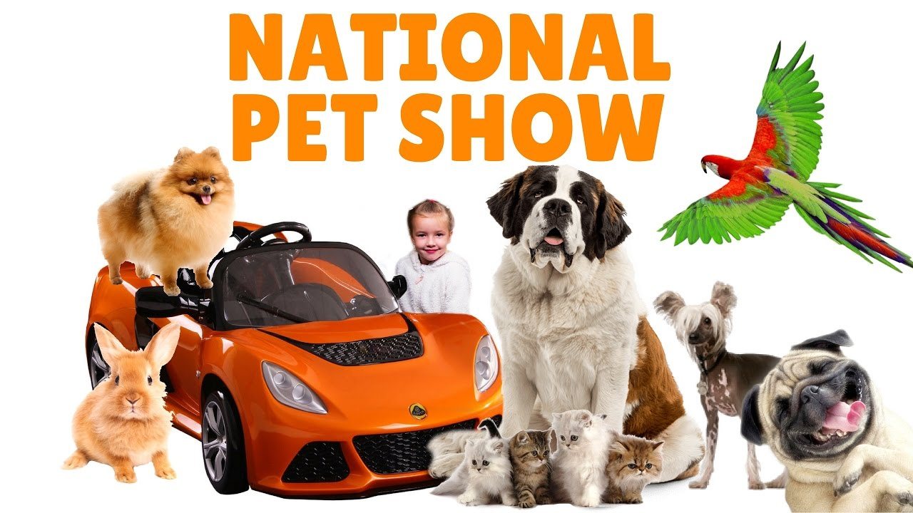 Animal fun at Pet Show Live London... - CatsKidsChaos