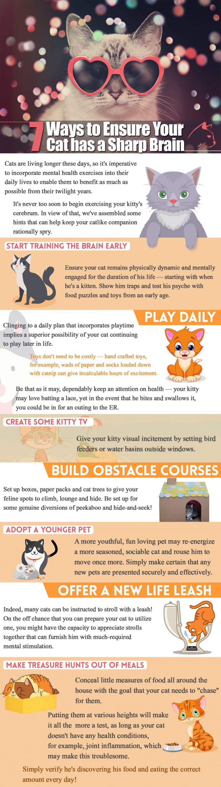Scientific Benefits of Having a Pet Cat - CatsKidsChaos