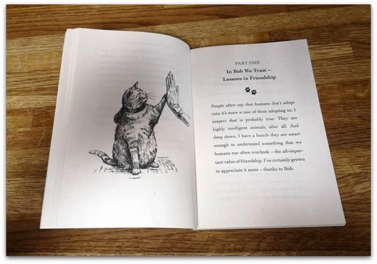 The Little Book of Bob - Life Lessons from a Streetwise Cat ...