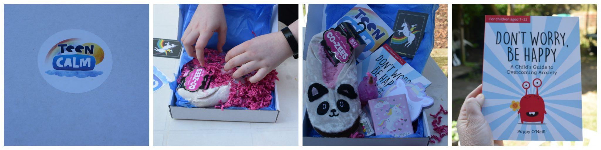 Treat your teen to a Teen Calm box subscription - CatsKidsChaos